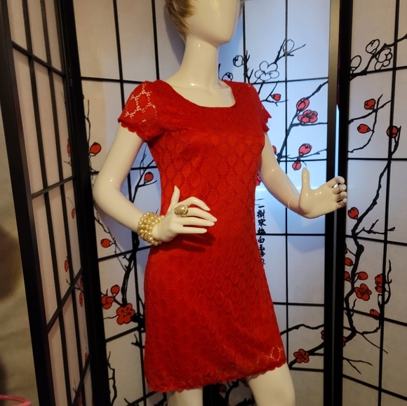 Enfocus Studio | Dresses | Vintage Enfocus Studio Ladies Red Lace ...